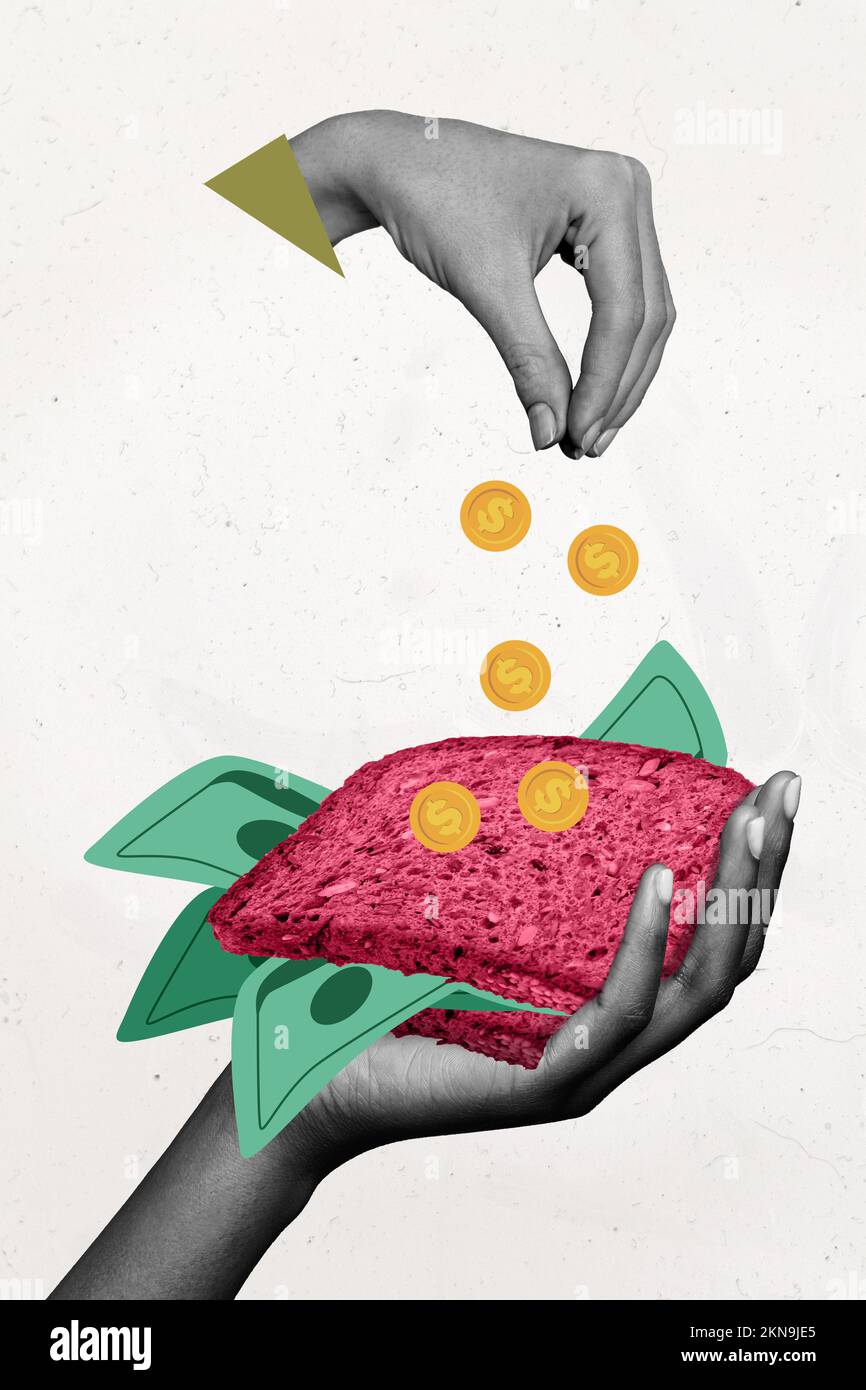 Collage photo of abstract surrealistic fantasy money maker salt coin ...