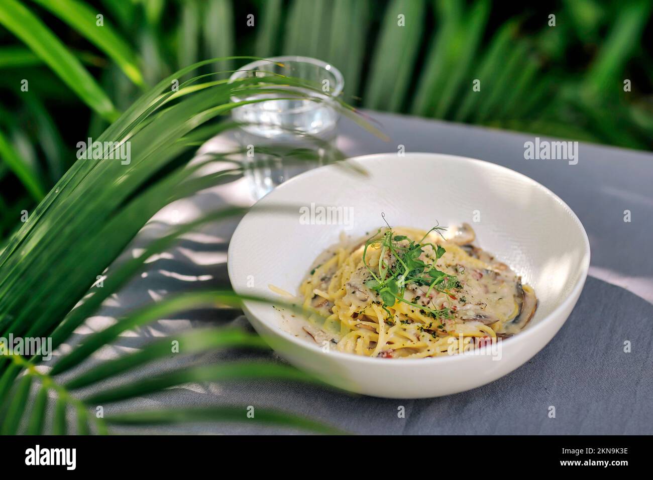 Spaghetti Carbonara and coconut under palm tree Stock Photo - Alamy