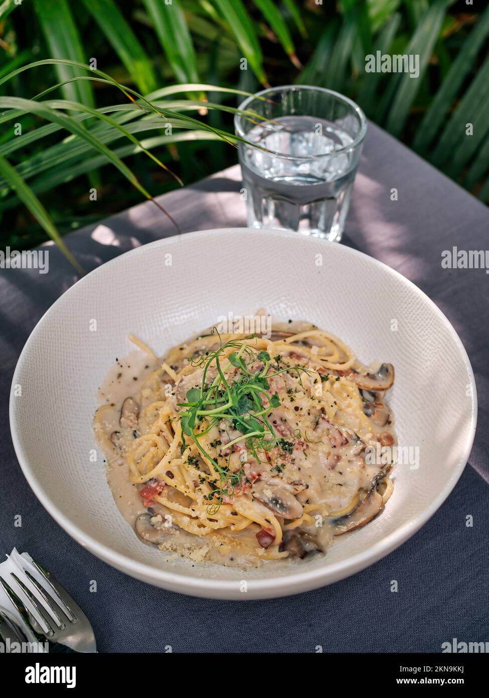 Spaghetti Carbonara and coconut under palm tree Stock Photo - Alamy