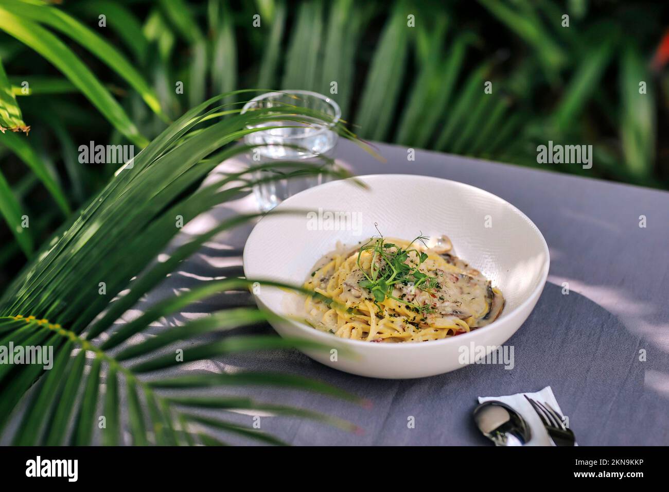 Spaghetti Carbonara and coconut under palm tree Stock Photo - Alamy