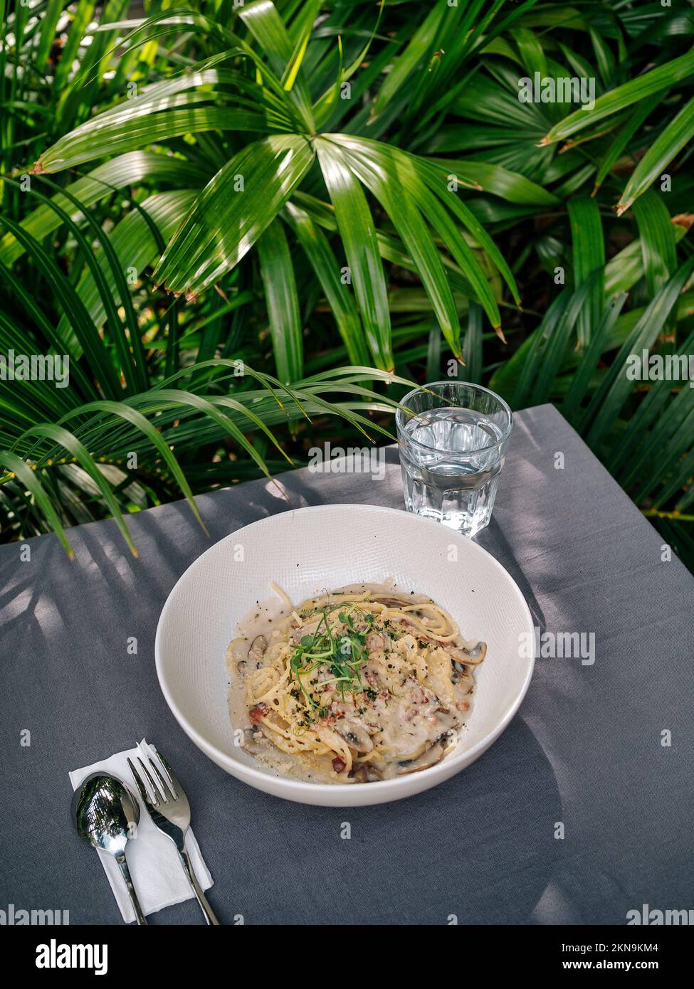 Spaghetti Carbonara and coconut under palm tree Stock Photo - Alamy