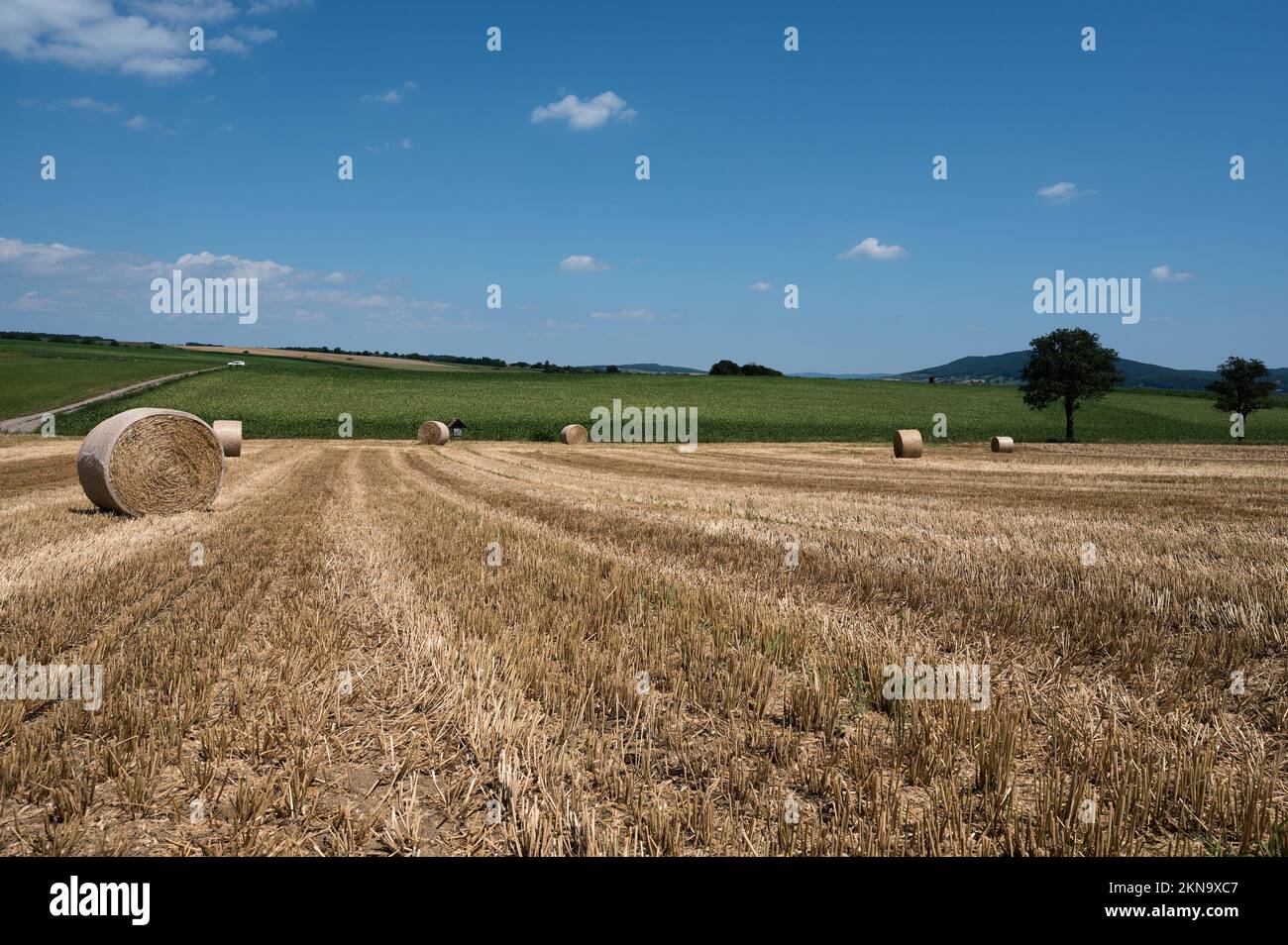 Wheat field after harvest Stock Photo - Alamy