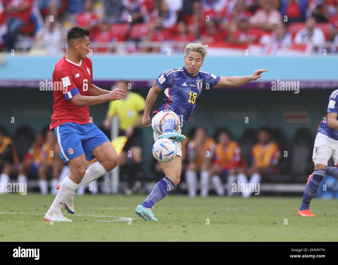 Al Rayyan, Qatar. 27th Nov 2022. 27th November 2022; Ahmed bin Ali Stadium, Al Rayyan, Qatar ...