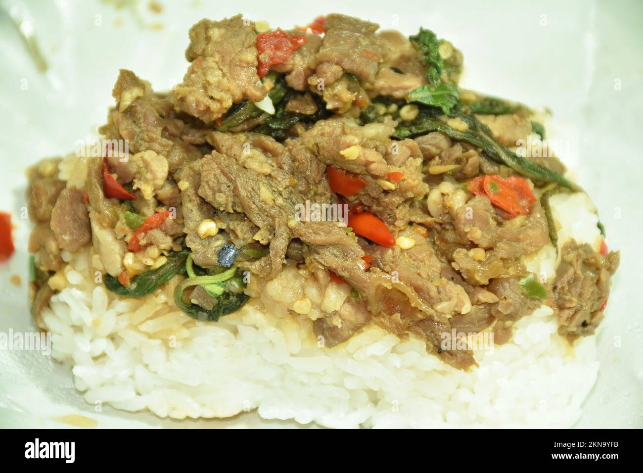 spicy stir fried chop beef meat with basil leaf on rice in white paper ...