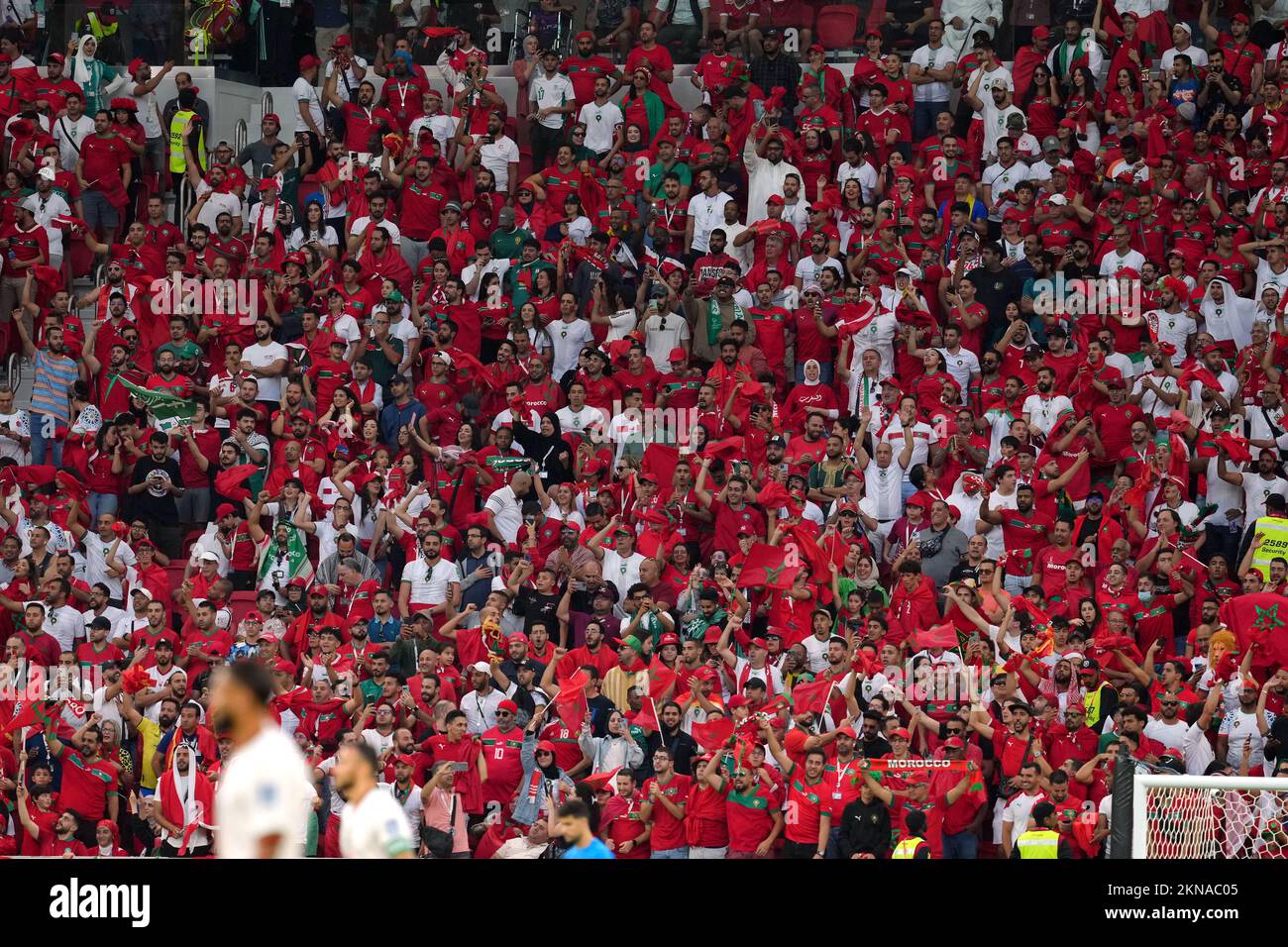 Morocco fans in the stands during the FIFA World Cup Group F match at the Al Thumama Stadium ...