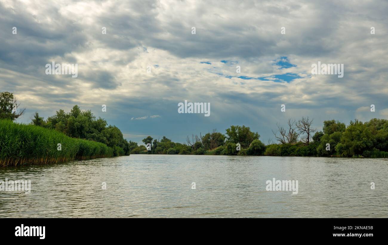 The wilderness of the danube delta Stock Photo - Alamy