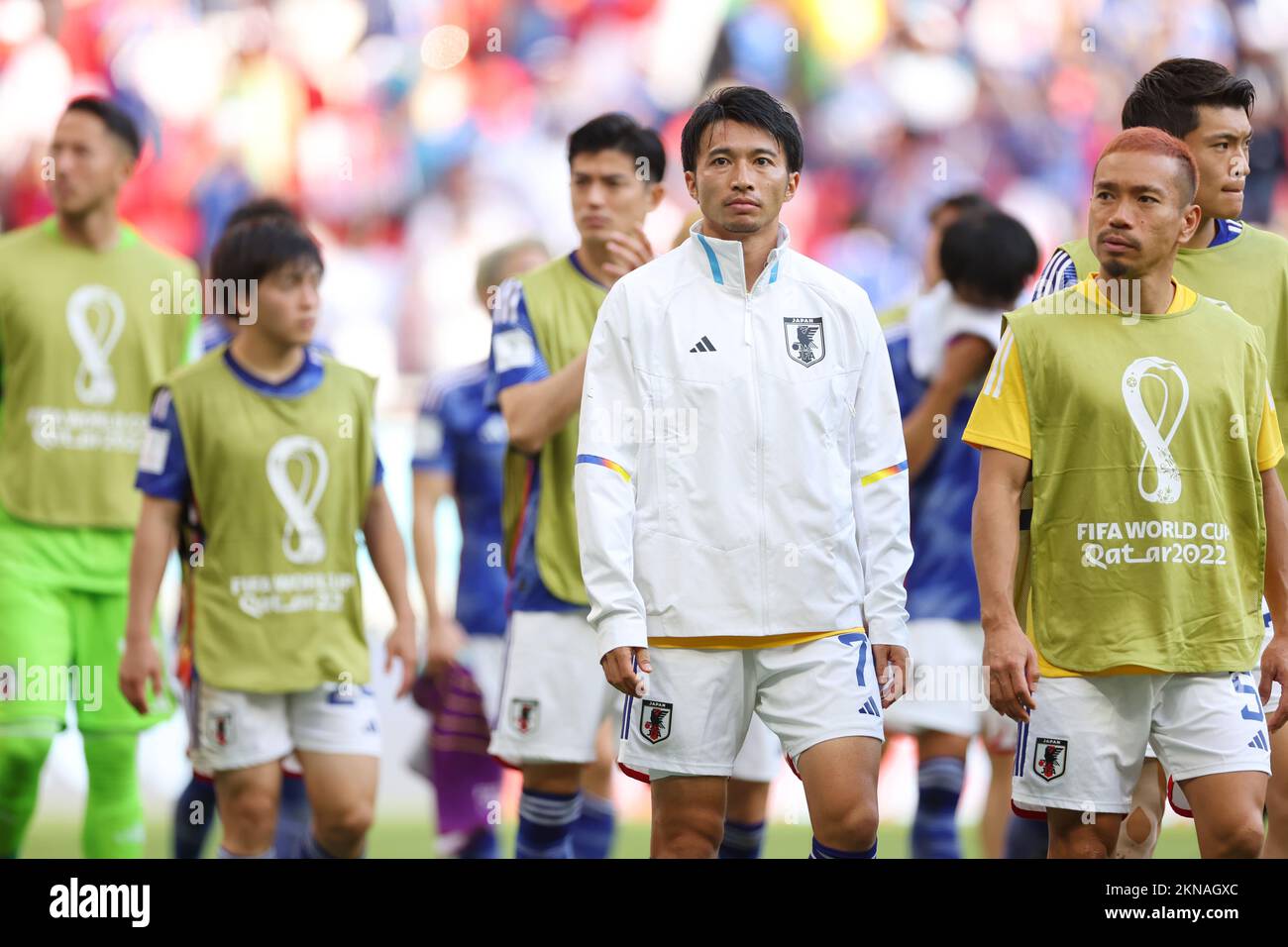 Al Rayyan, Qatar. 27th Nov, 2022. Gaku Shibasaki (JPN) Football/Soccer : FIFA World Cup Qatar ...