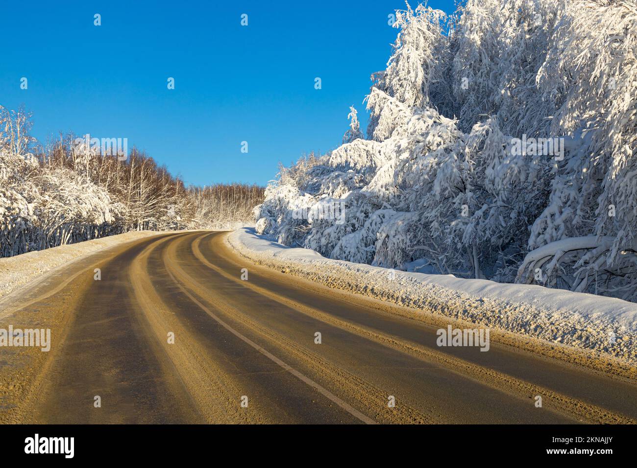 A country road in a snow-covered forest in the taiga on a winter day ...
