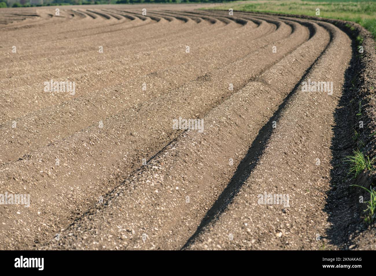 Ploughed Field Farmland Agriculture East Yorkshire UK Stock Photo - Alamy