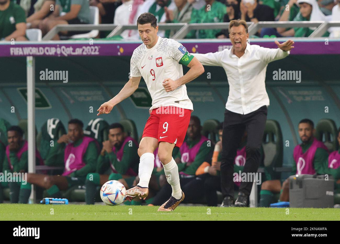 Robert Lewandowski of Poland during the FIFA World Cup 2022, Group C ...