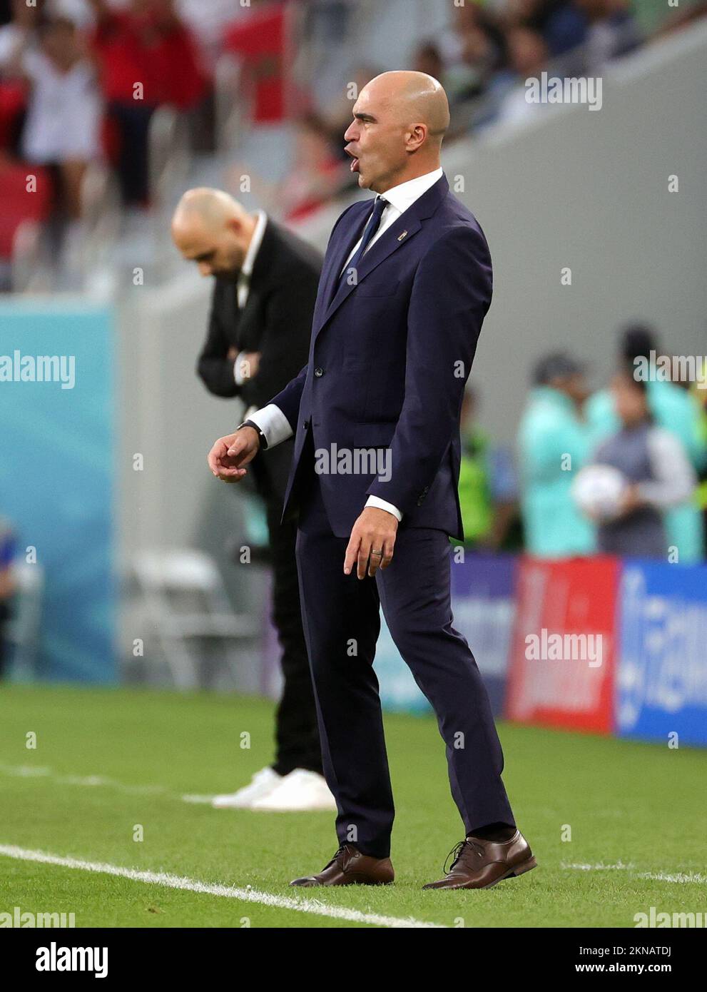 Belgium's head coach Roberto Martinez reacts during a soccer game ...