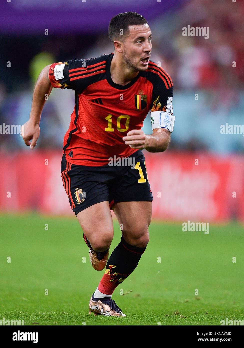 DOHA, QATAR - NOVEMBER 27: Eden Hazard of Belgium looks on during the ...