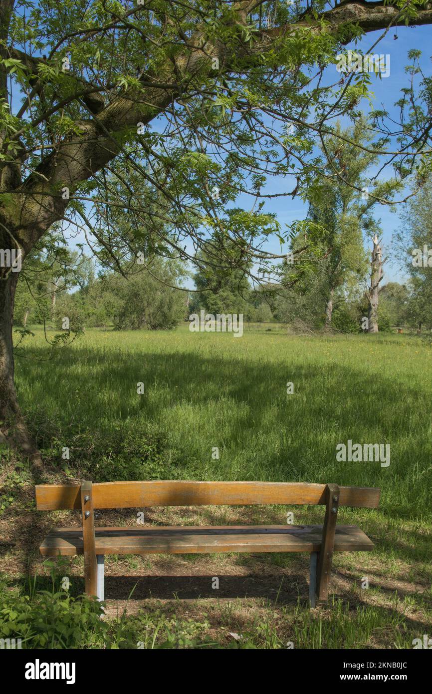 resting Place in Urdenbacher Kaempe Nature Reserve,old Rhine floodplain ...