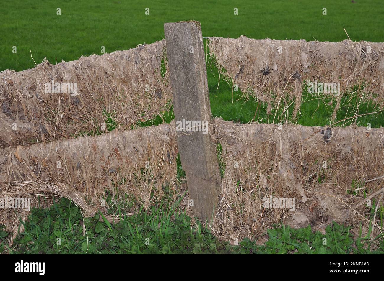 after the flood at Rhine River in Urdenbacher Kaempe Nature Reserve,old ...