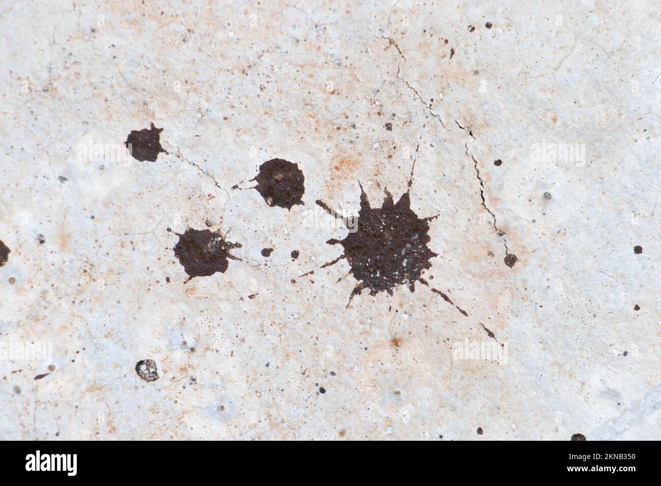 Splash of painting on concrete texture background Stock Photo - Alamy