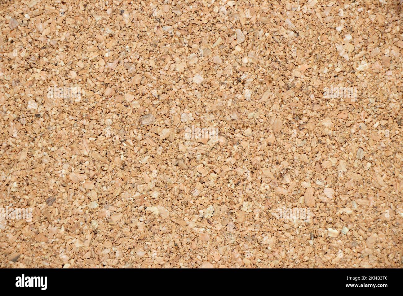 Brown yellow color of cork board textured background with blank copy ...