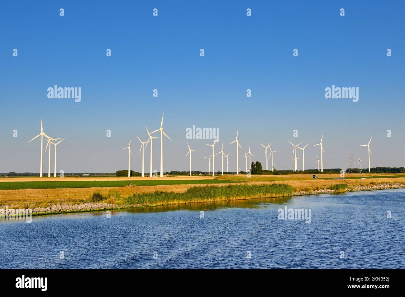 Tall wind turbines on farmland alongside a canal in evening light. No ...