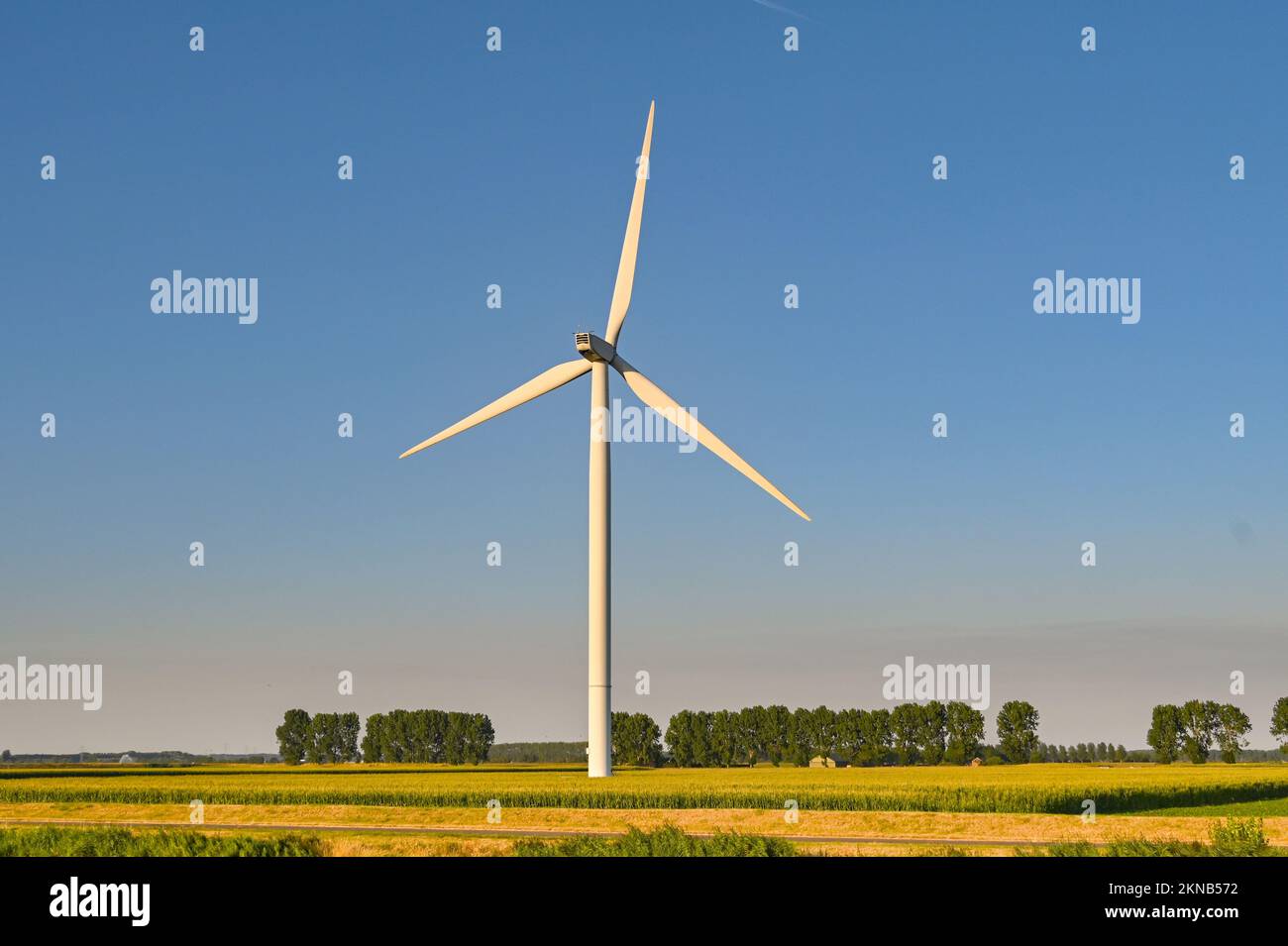 Tall wind turbine standing in a farm field isolated against a deep blue ...