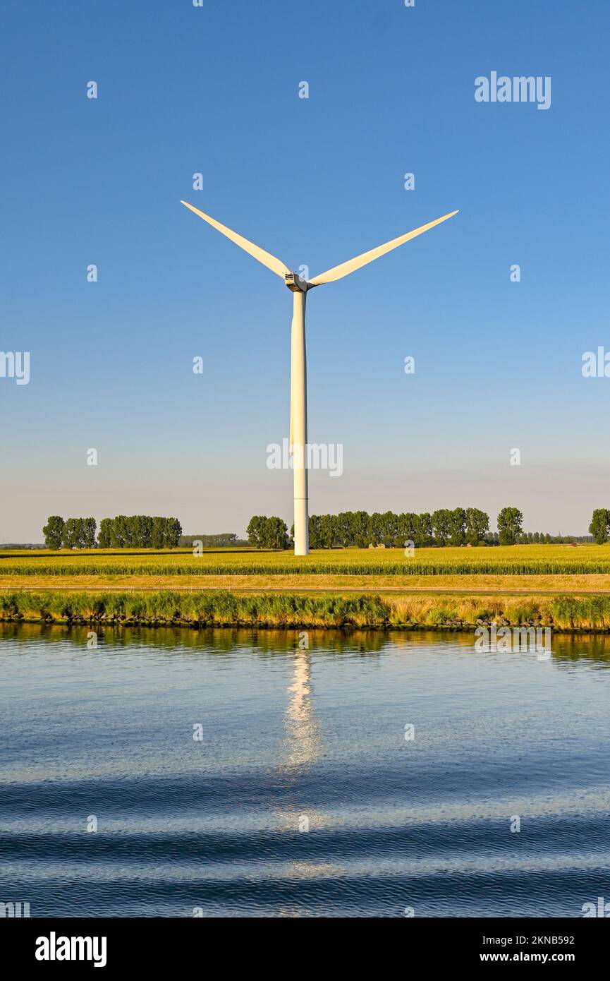 Tall wind turbine in a farm field isolated against a deep blue sky with ...