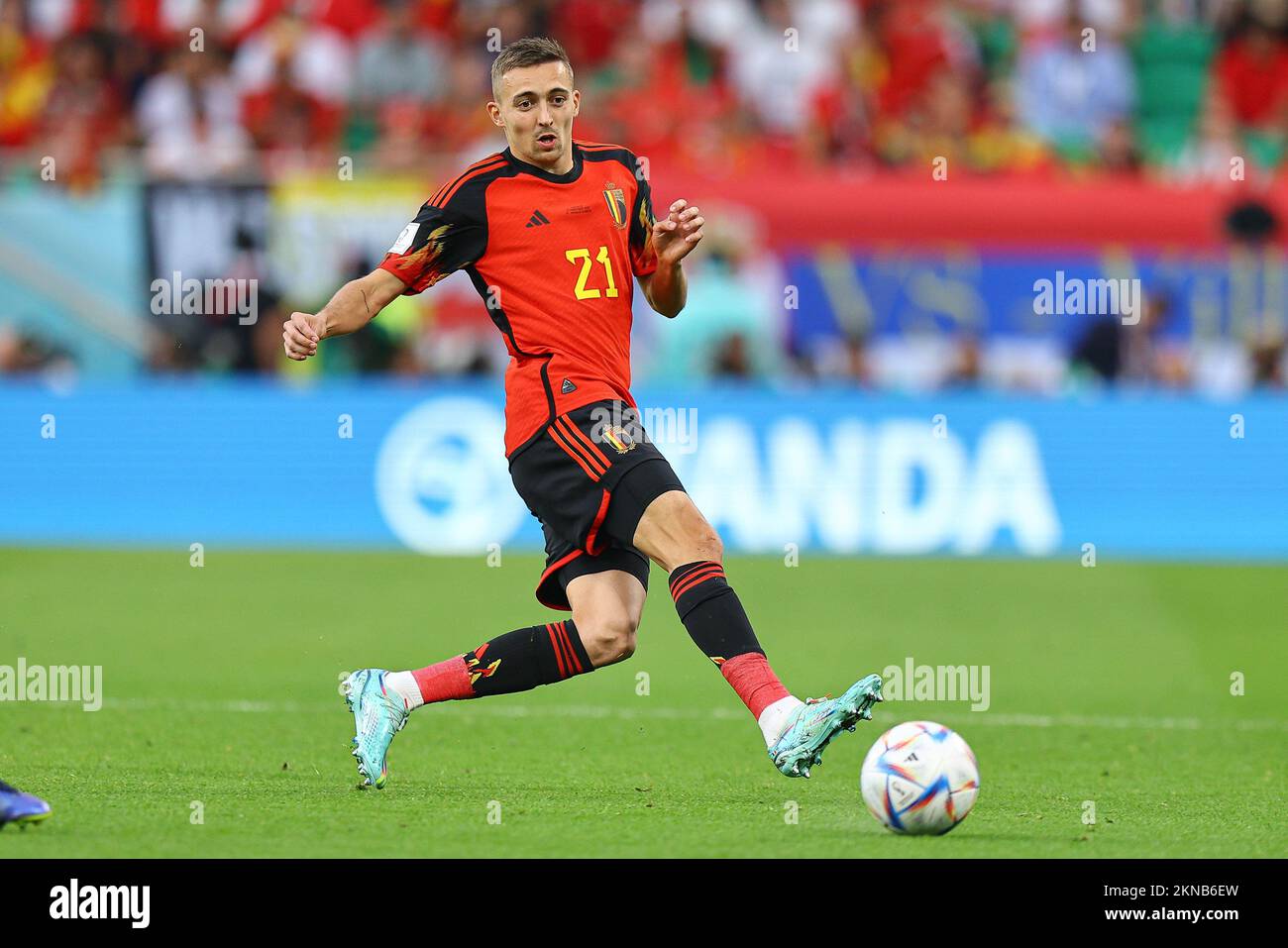 Timothy Castagne during the FIFA World Cup Qatar 2022 Group F match ...