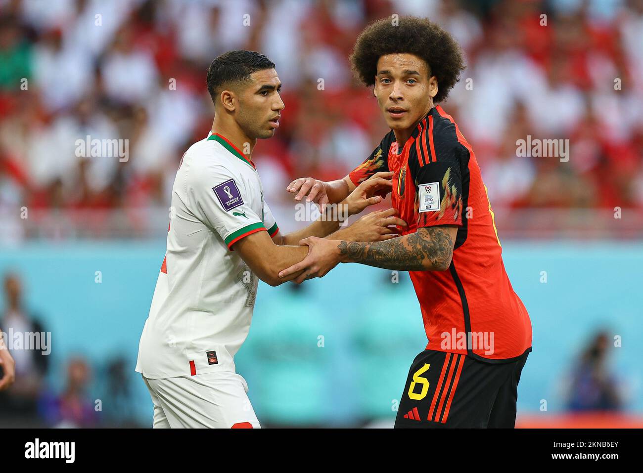 Axel Witsel during the FIFA World Cup Qatar 2022 Group F match between ...