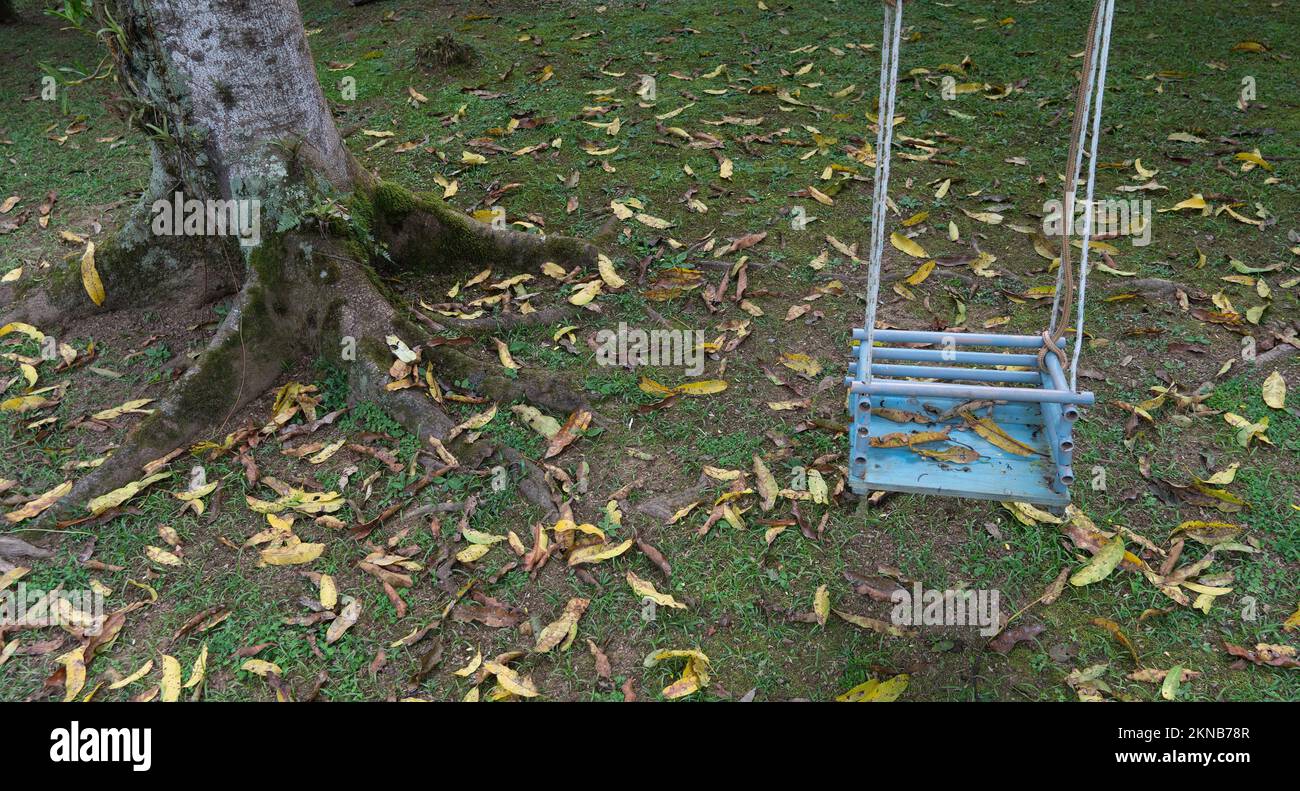 Child's swing in winter with fallen leaves from trees Stock Photo - Alamy