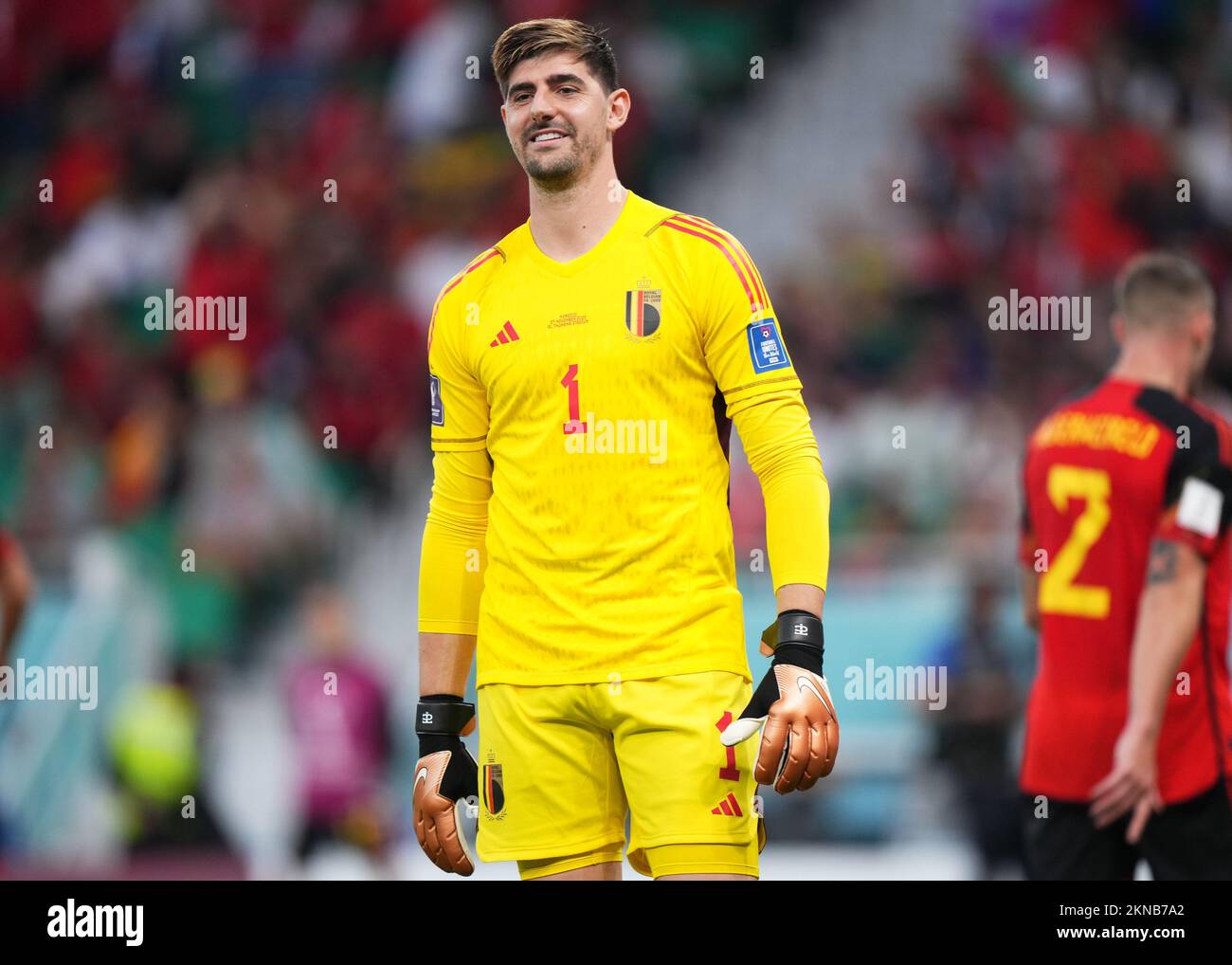 Thubaut Courtois of Belgium during the FIFA World Cup Qatar 2022 match ...