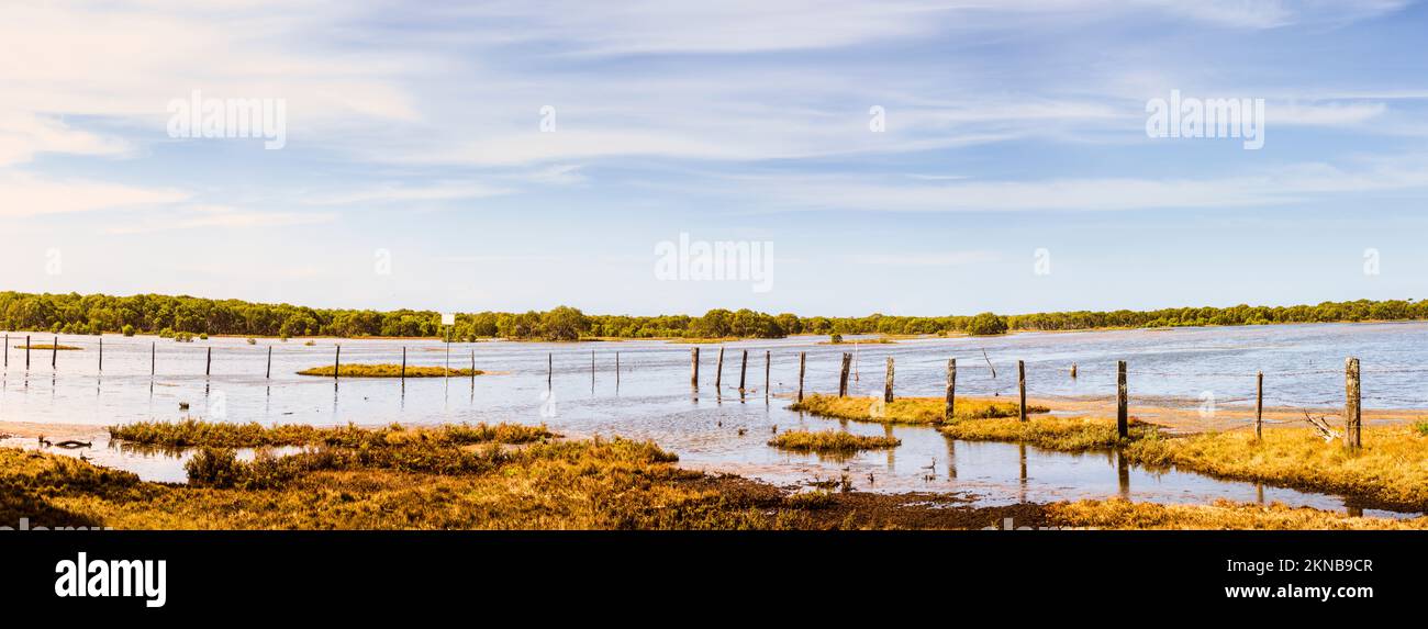 Six photostitch landscape panoramic of an Australian mangrove creek ...