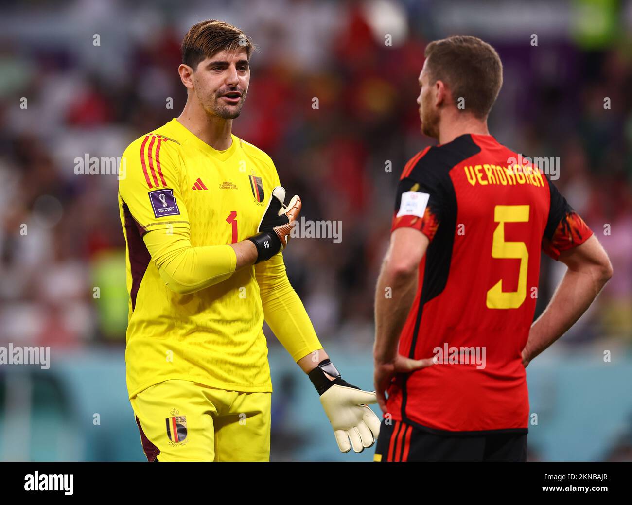 Doha, Qatar, 27th November 2022. Thibaut Courtois of Belgium complains ...