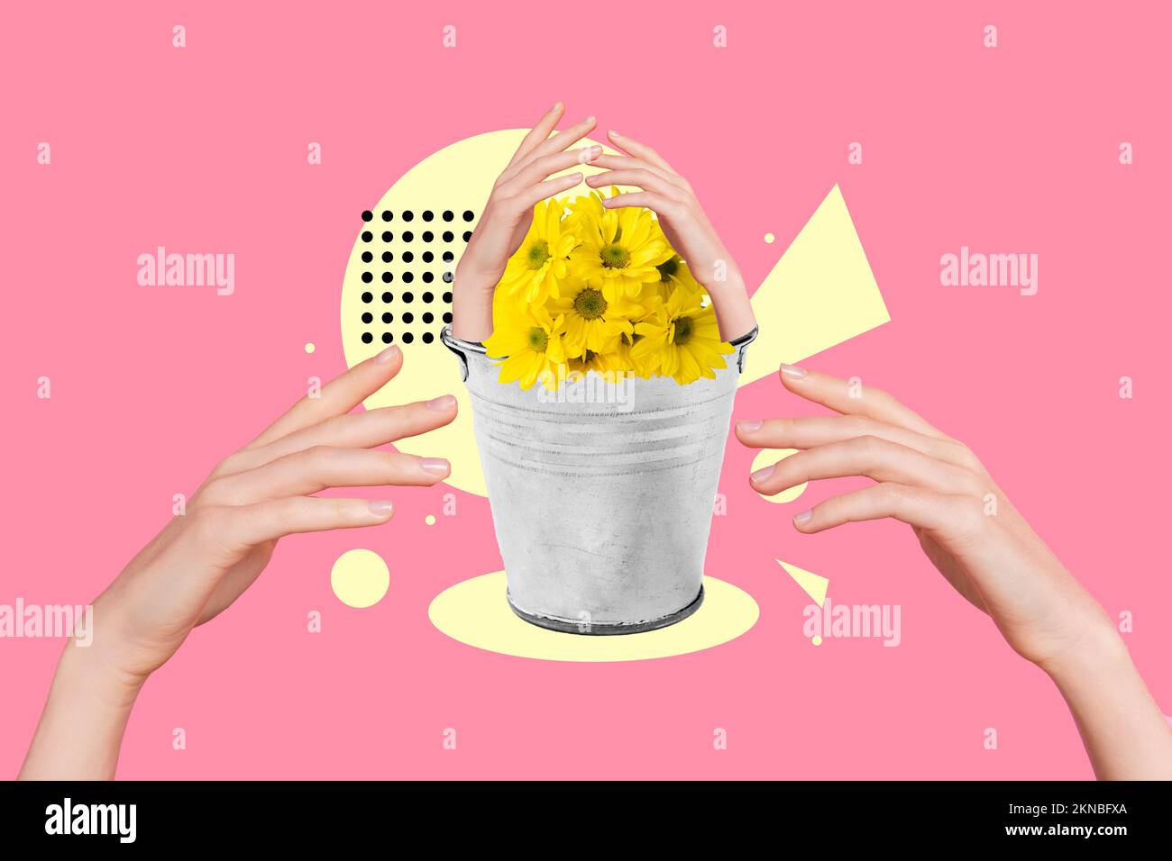 Creative collage illustration of human arms mini bucket flowers ...
