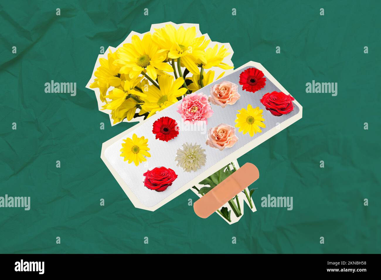 Composite collage illustration of medical plaster patch bouquet flowers ...