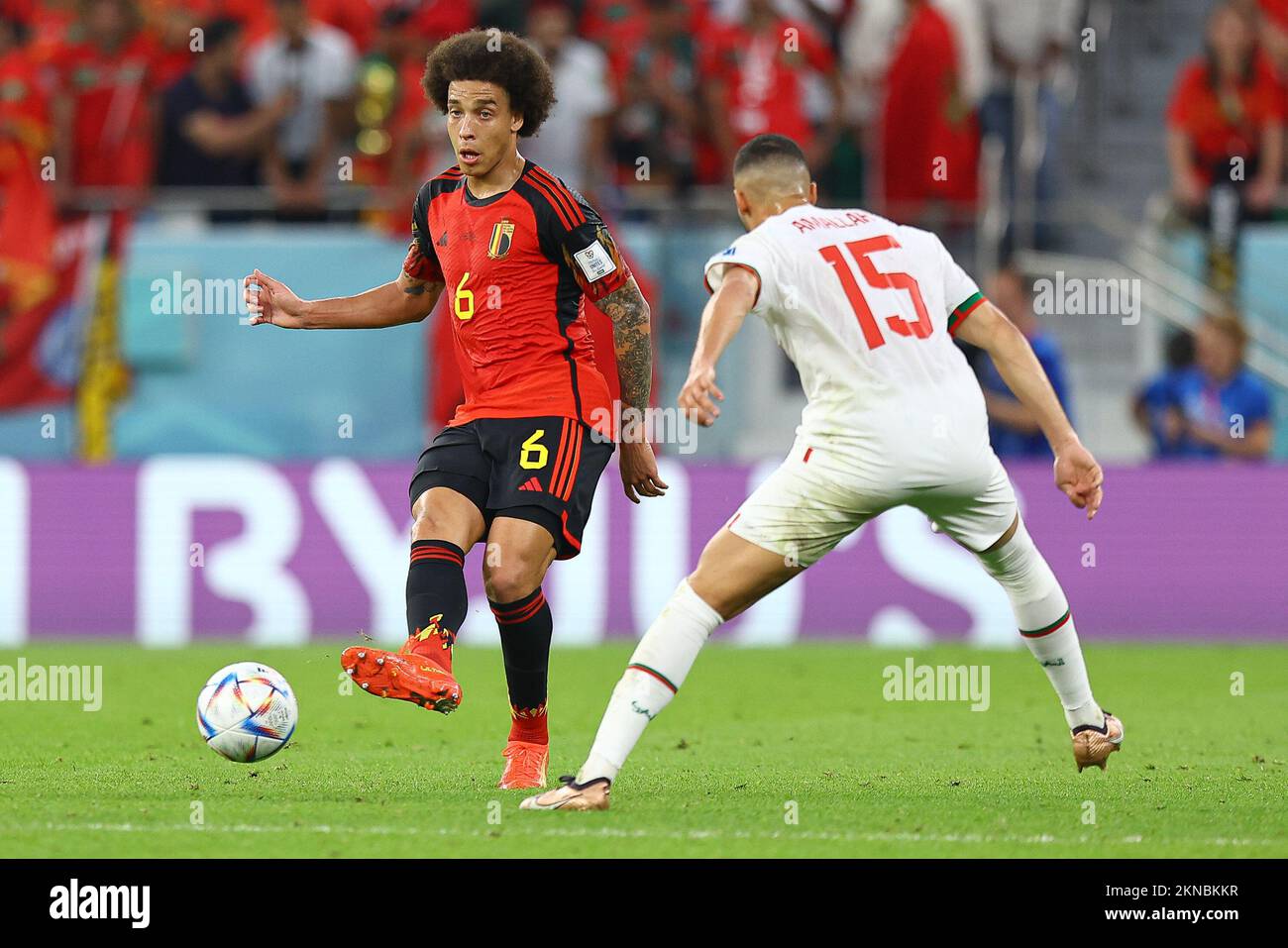Axel Witsel during the FIFA World Cup Qatar 2022 Group F match between ...