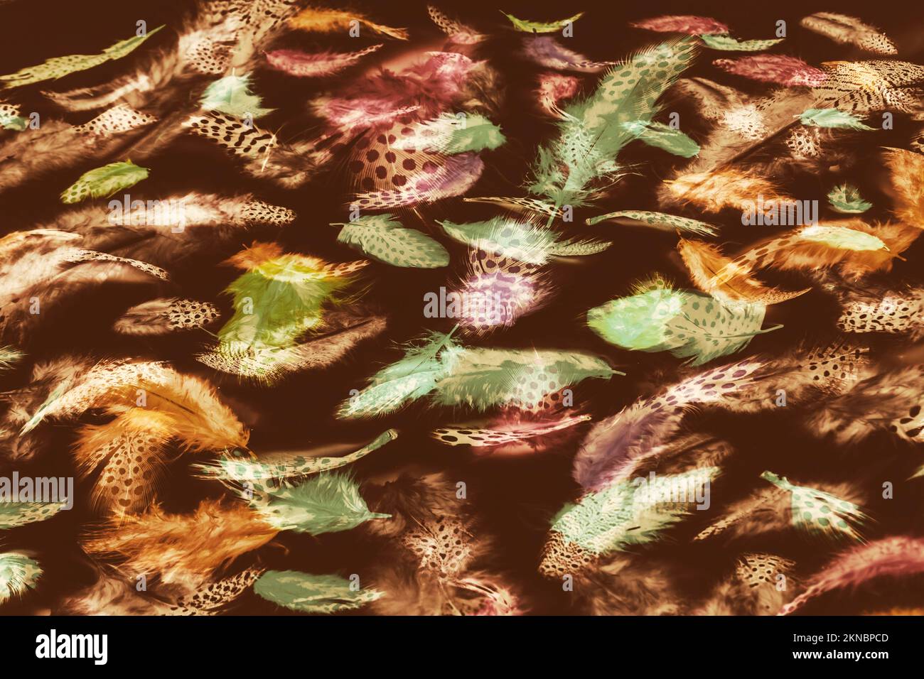 Old fashioned still on a mix of vintage feathers overlaying in soft ...