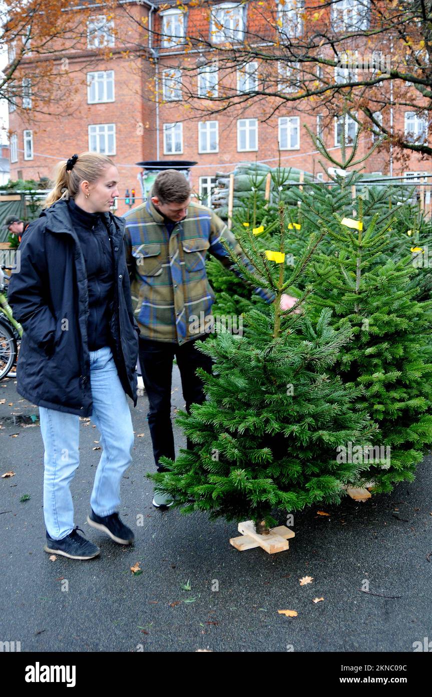 Copenhagen/Denmark/27 November 2022/People christmas shoppeers coupple ...