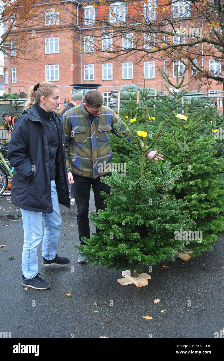 Copenhagen/Denmark/27 November 2022/People christmas shoppeers coupple ...