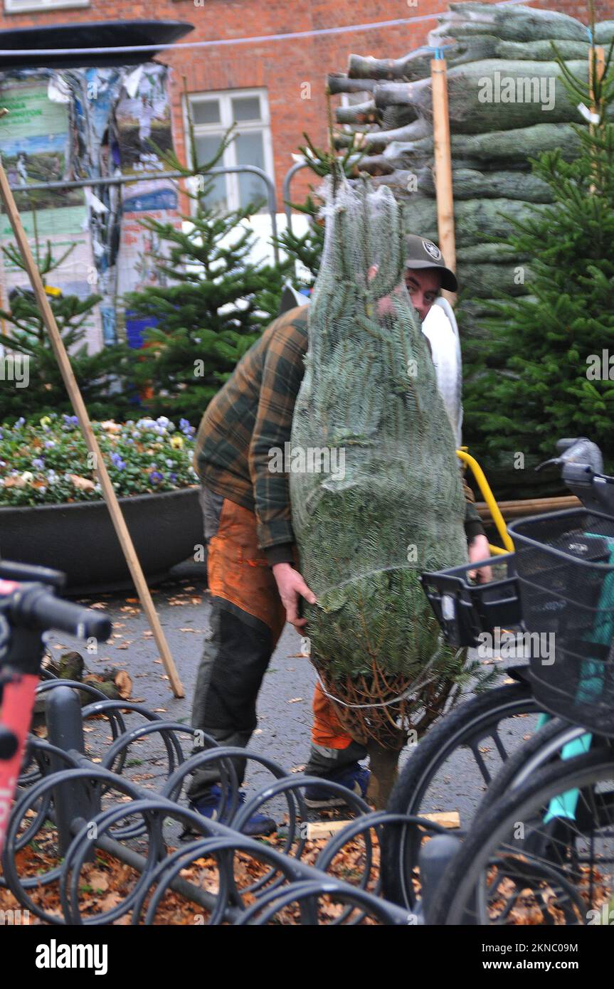 Copenhagen/Denmark/27 November 2022/People christmas shoppeers coupple ...