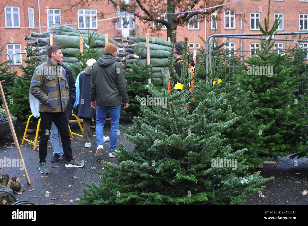 Copenhagen/Denmark/27 November 2022/People christmas shoppeers coupple ...