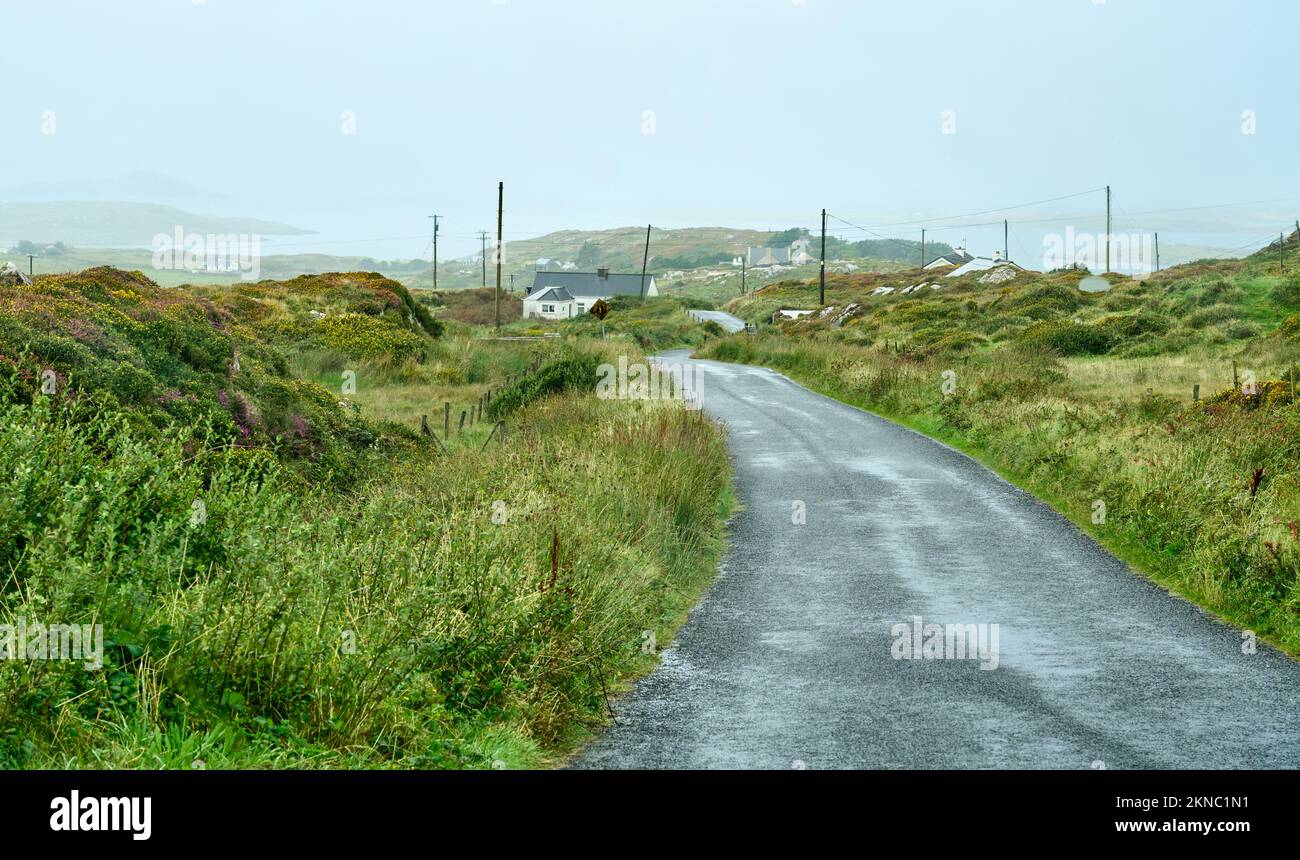 narrow country road on a rainy day at the Ring of Kerry, County Kerry ...