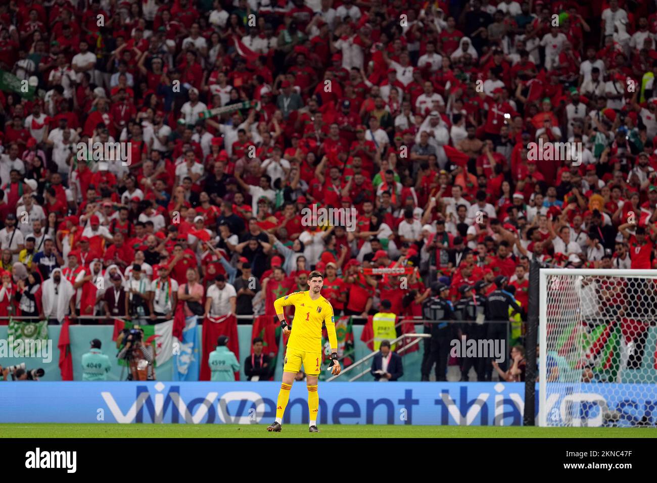 Belgium goalkeeper Thibaut Courtois stands in front of the Morocco fans after he concedes the ...