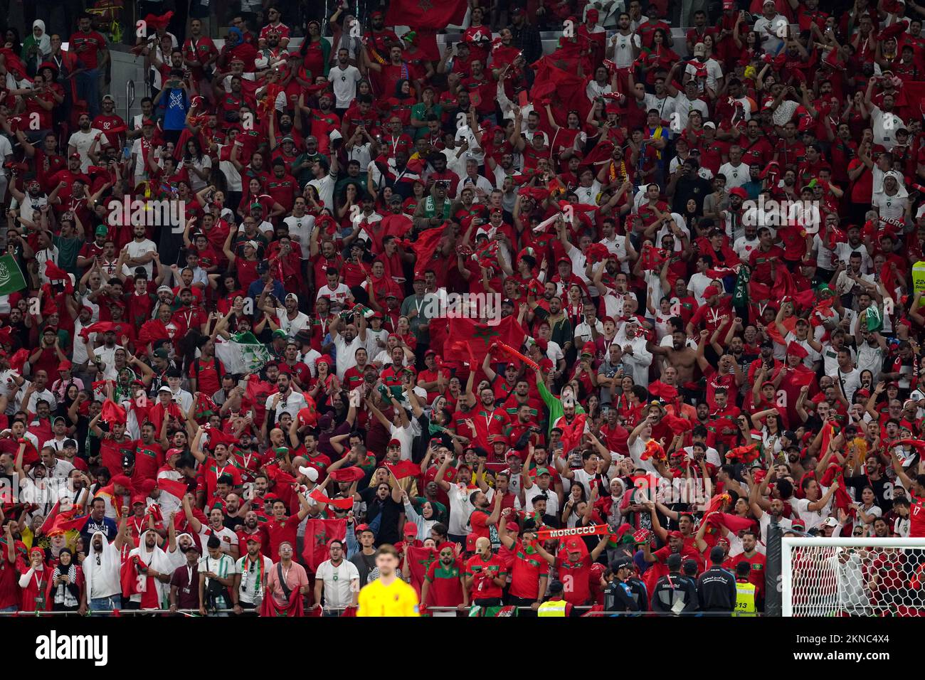 Morocco fans celebrate their opening goal during the FIFA World Cup Group F match at the Al ...