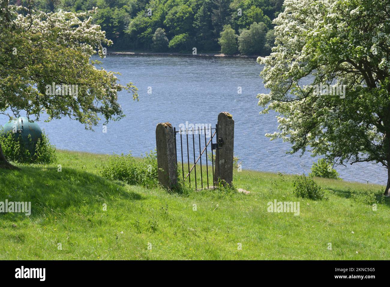 Damian gate hi-res stock photography and images - Alamy