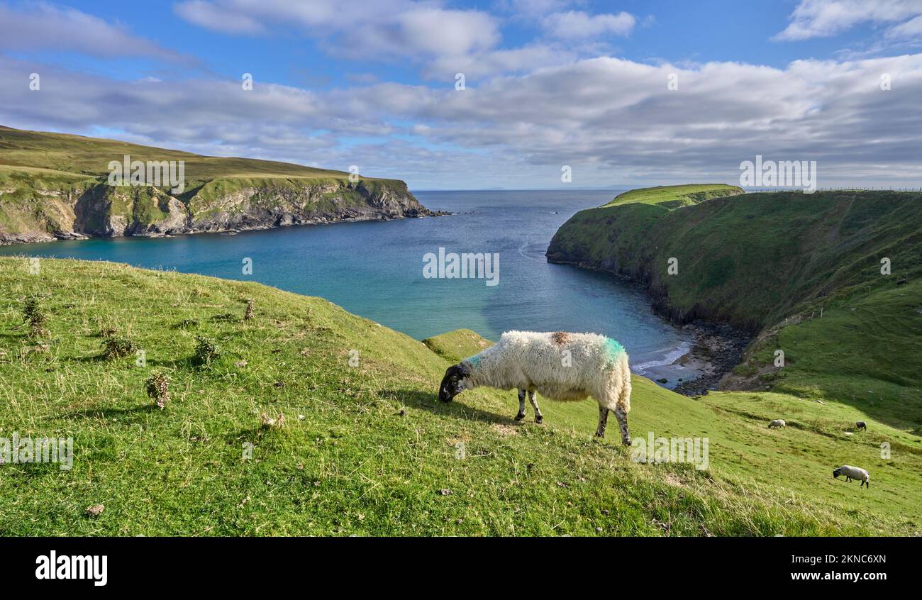 rock cliffs of Dunmore Head at the Atlantic coast of Ireland Stock ...