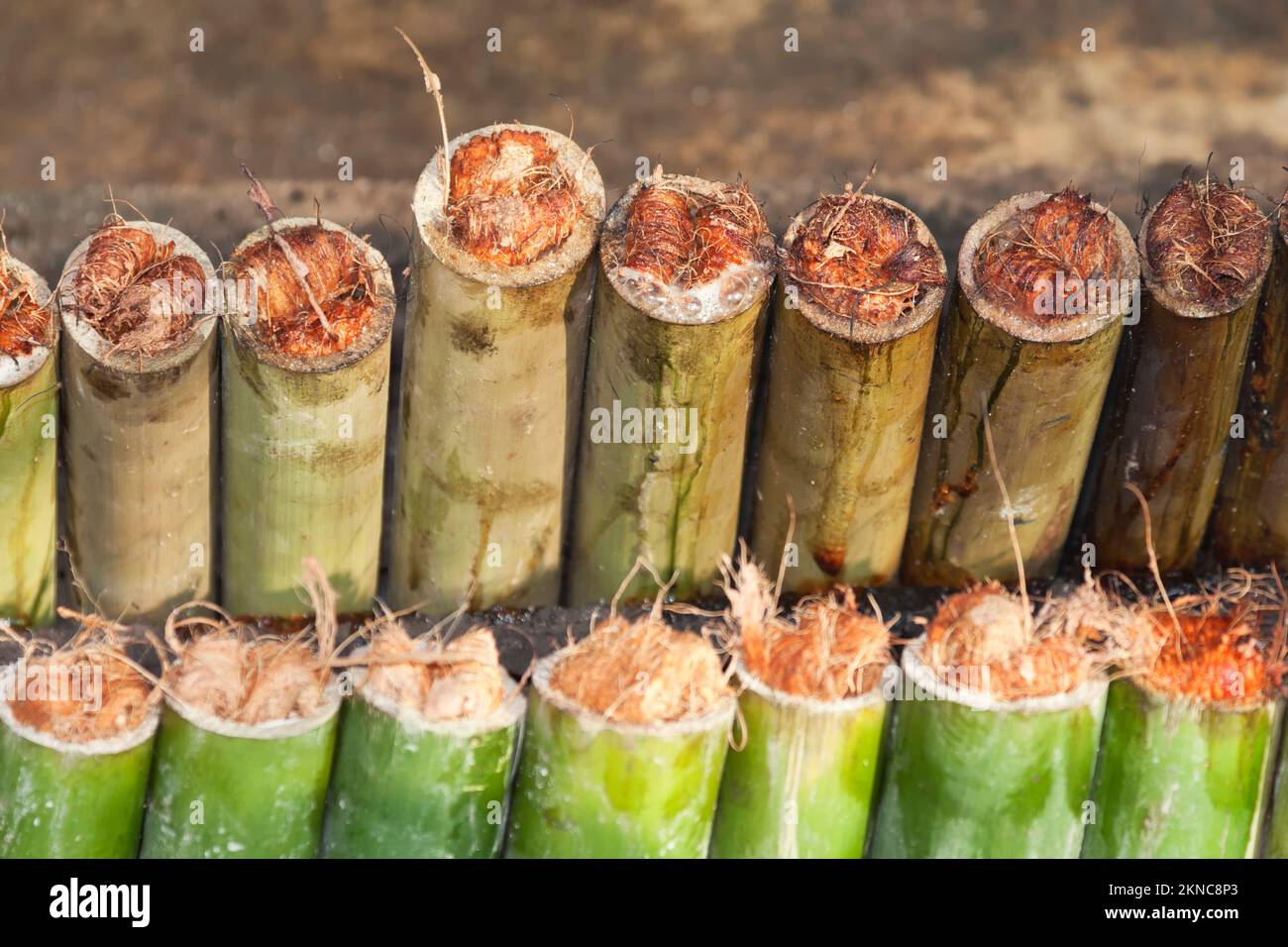 Glutinous rice, sticky rice, sweet rice Stock Photo - Alamy