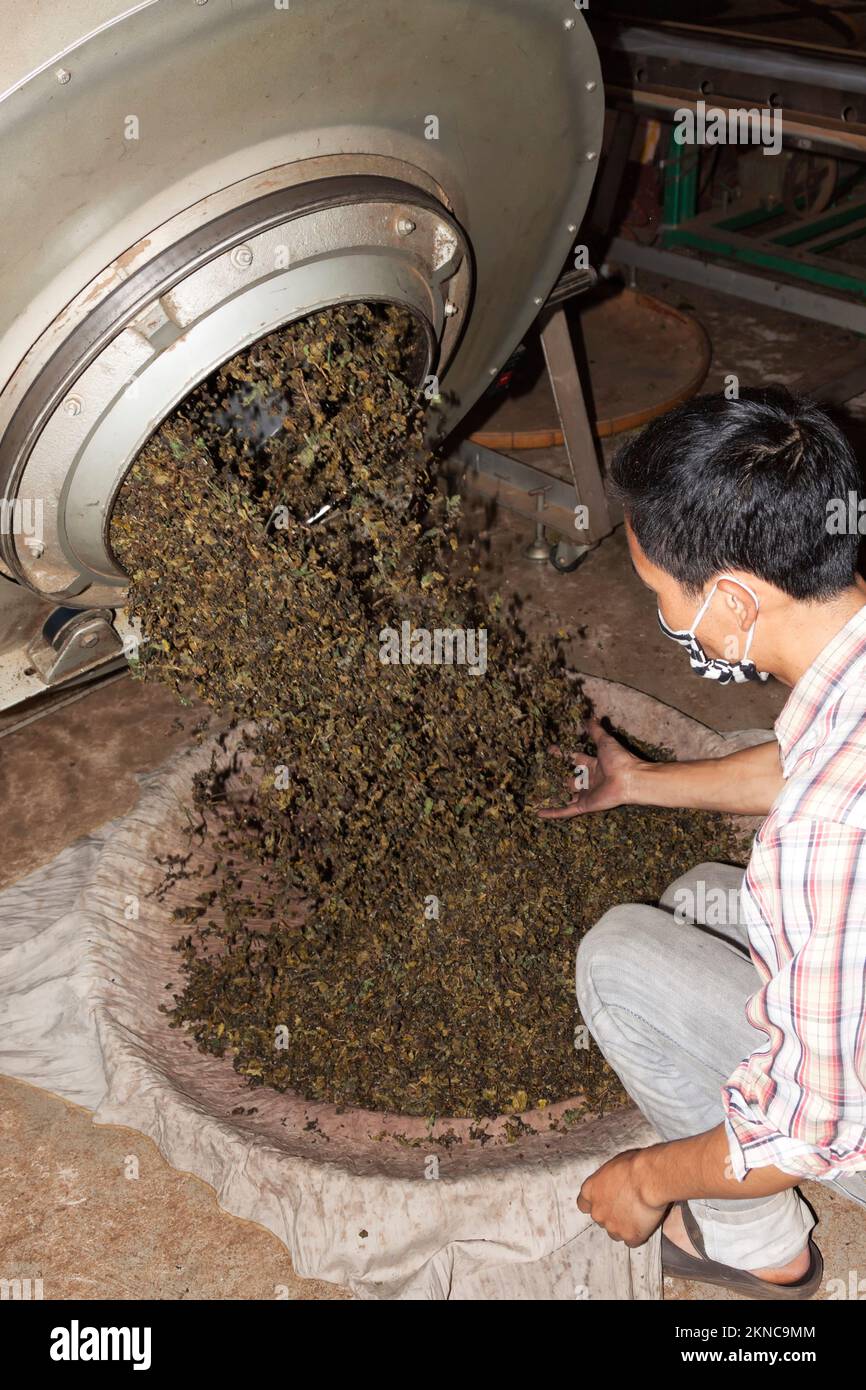 Drying of Thai tea Stock Photo - Alamy