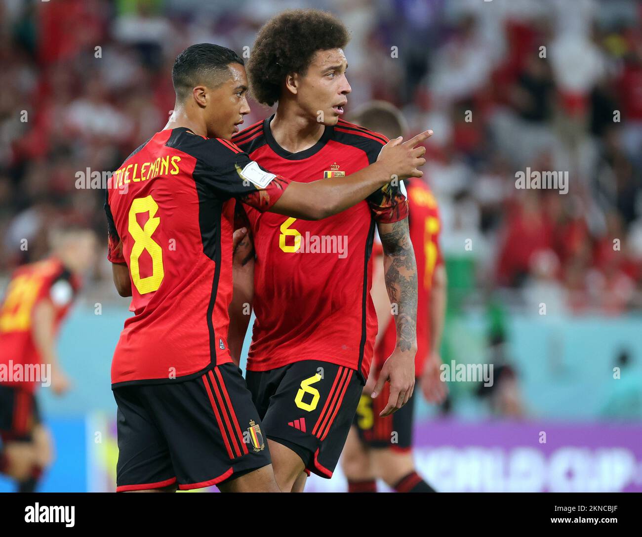 Belgium's Youri Tielemans and Belgium's Axel Witsel pictured during a ...
