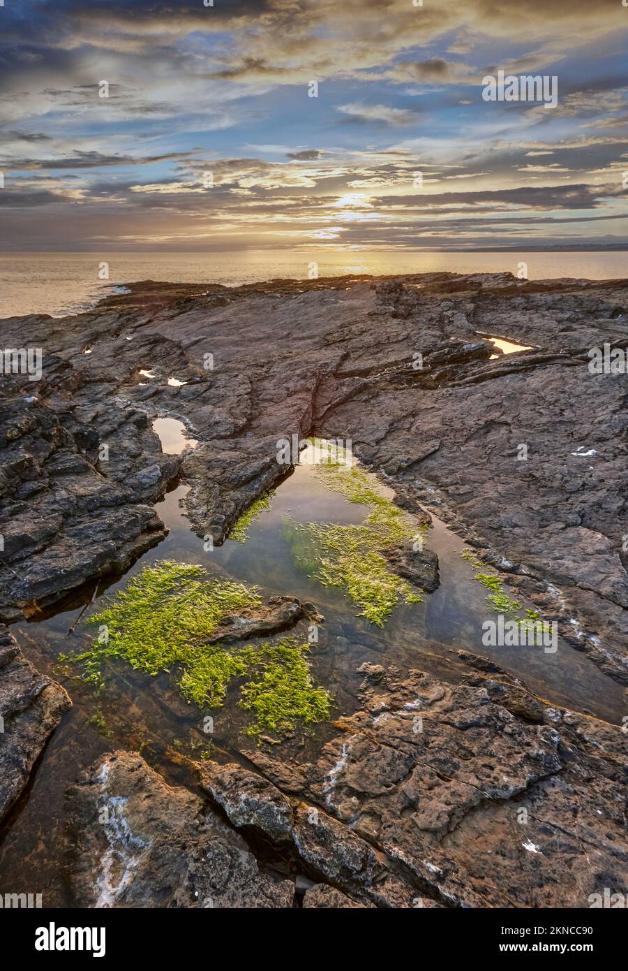 woman at the rocky coastline at sunset in southern Republic of Ireland ...