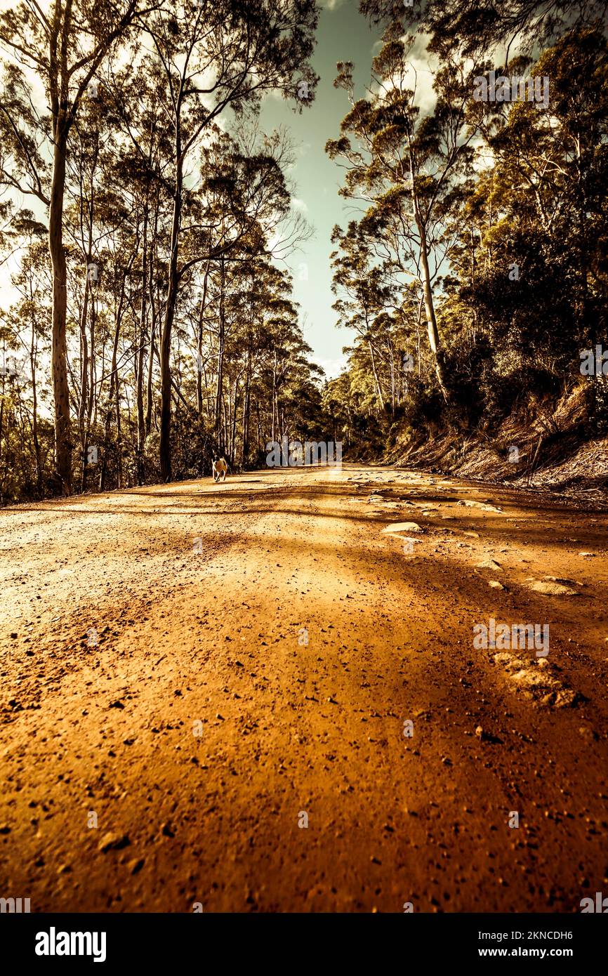 Road cut through rocks hi-res stock photography and images - Alamy