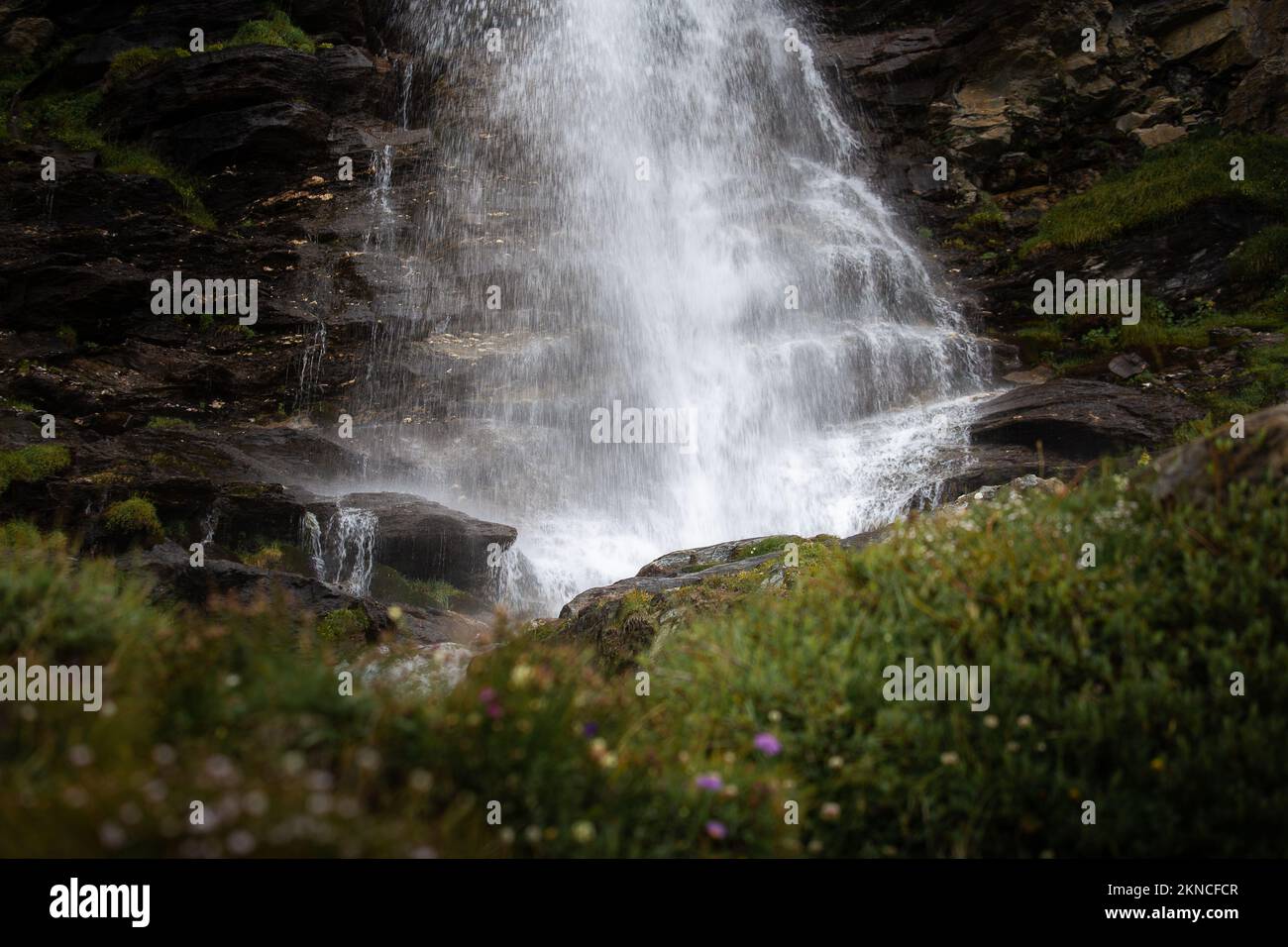 A scenic ground-level shot of a waterfall in a forest Stock Photo - Alamy