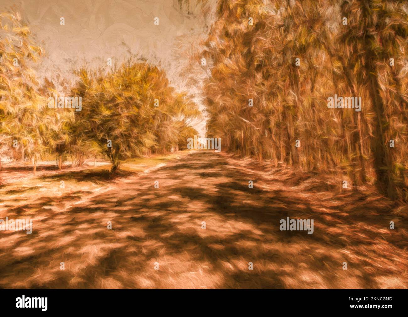 Australian plants artwork hi-res stock photography and images - Alamy