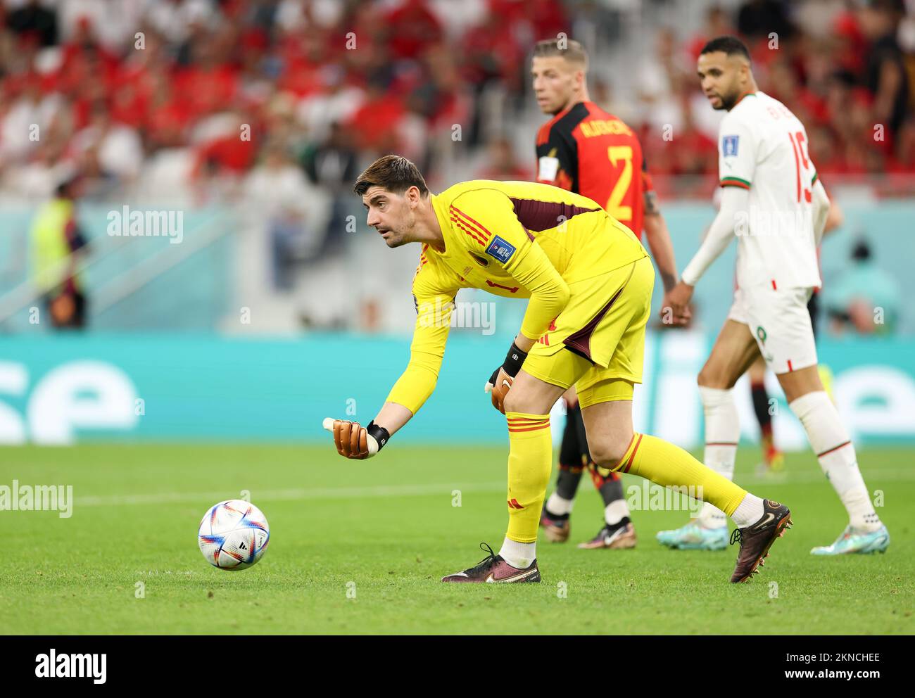 Doha, Qatar. 27th Nov, 2022. Thibaut Courtois, goalkeeper of Belgium ...